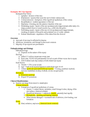 Morgan lens brochure - Clearly, the most comfortable, effective and ...