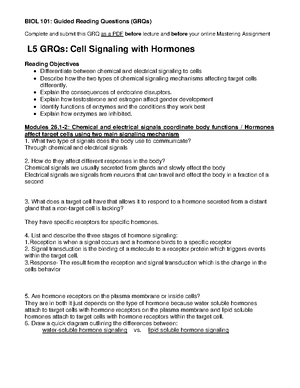 Lesson 14 GRQs Flow of Genetic information Part 2 - BIOL 101: Guided Reading Questions (GRQs ...