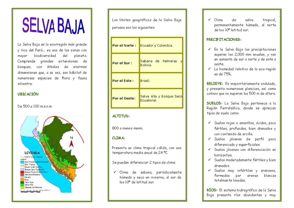 291390262 Triptico Selva Baja - La Selva Baja es la ecorregión más ...