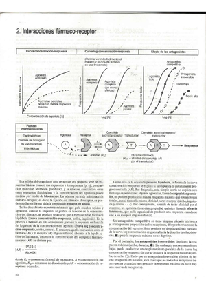 Clasificación de RAM by Rawlins & Thompson (Respuestas Adversas) - R.A ...