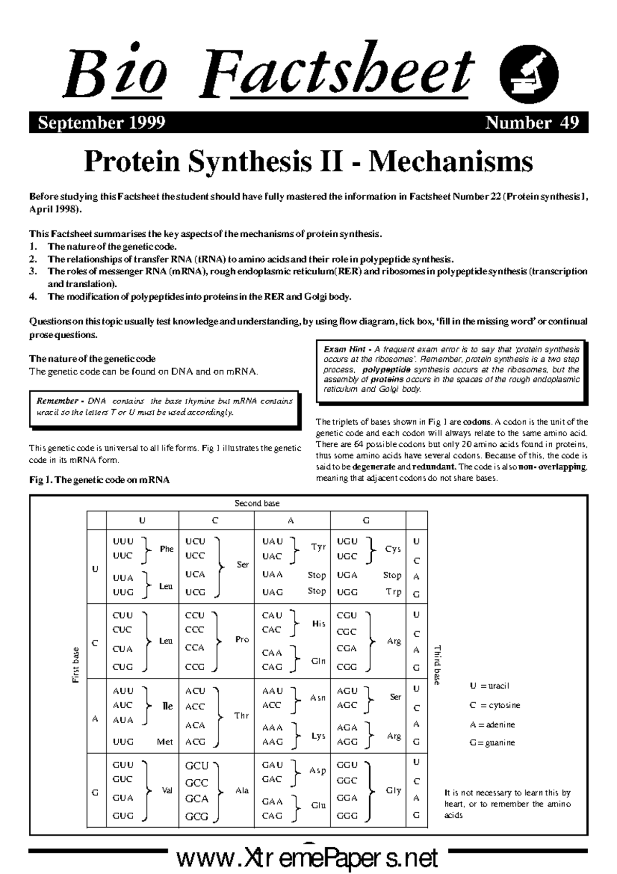 49 fv protein - Protein Synthesis II - Mechanisms Bio Factsheet September 1999 Number 49 1 ...