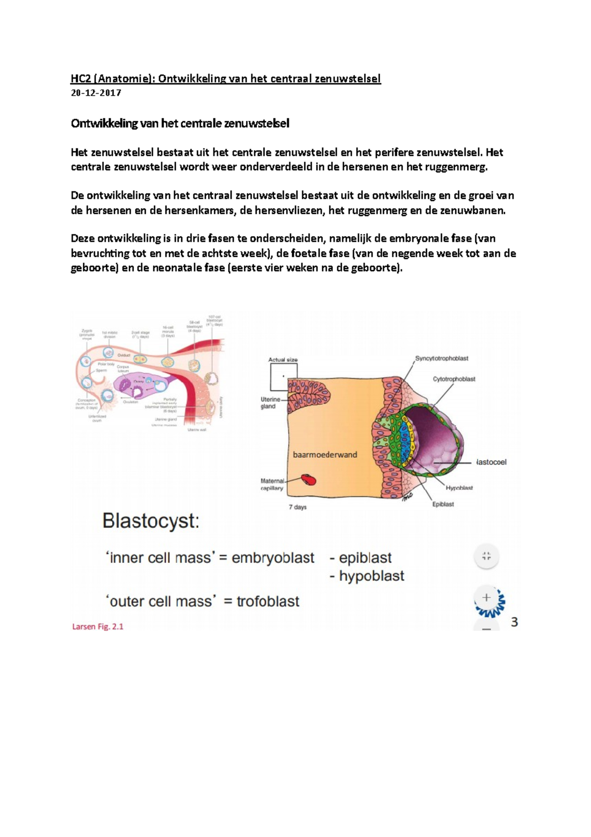 HC2 (Anatomie) Ontwikkeling van het centraal zenuwstelsel - HC2 (Anatomie): Ontwikkeling van het ...