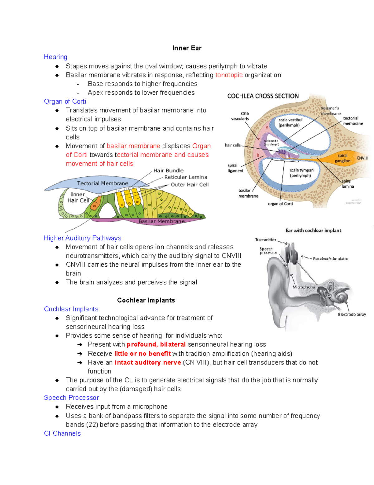 SLHS 2203 Inner Ear - Inner Ear Hearing Stapes moves against the oval ...