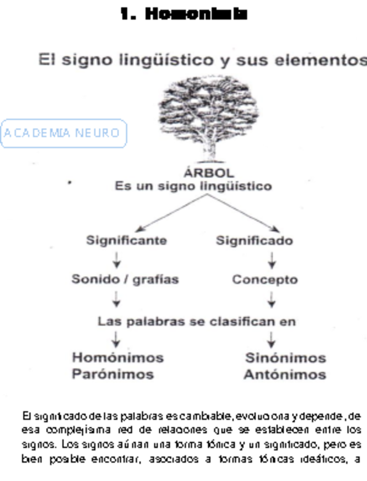 Aptitud verbal -tipo examen de admisión - 1. Homonimia El significado ...