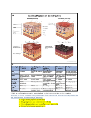 Atraumatic care of children and families - atraumatic care of children ...