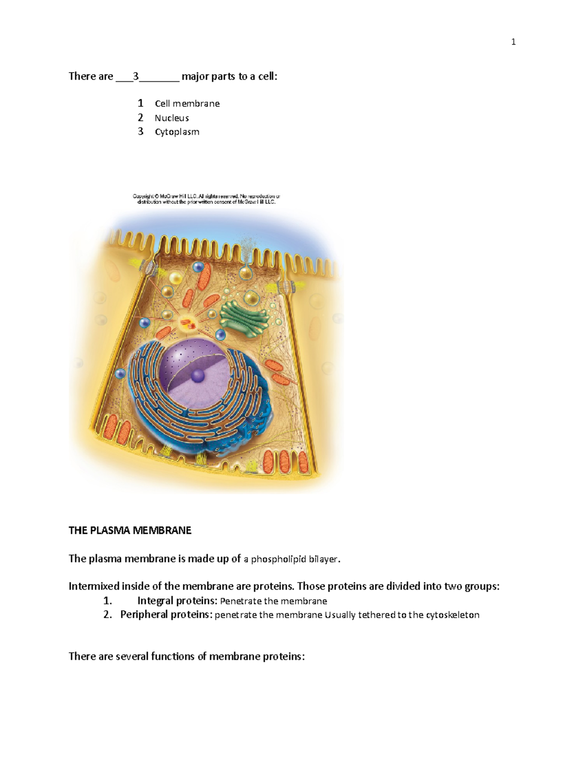 Week 3 labs 2 Week 4 Case Study first draft - There are 3____ major ...