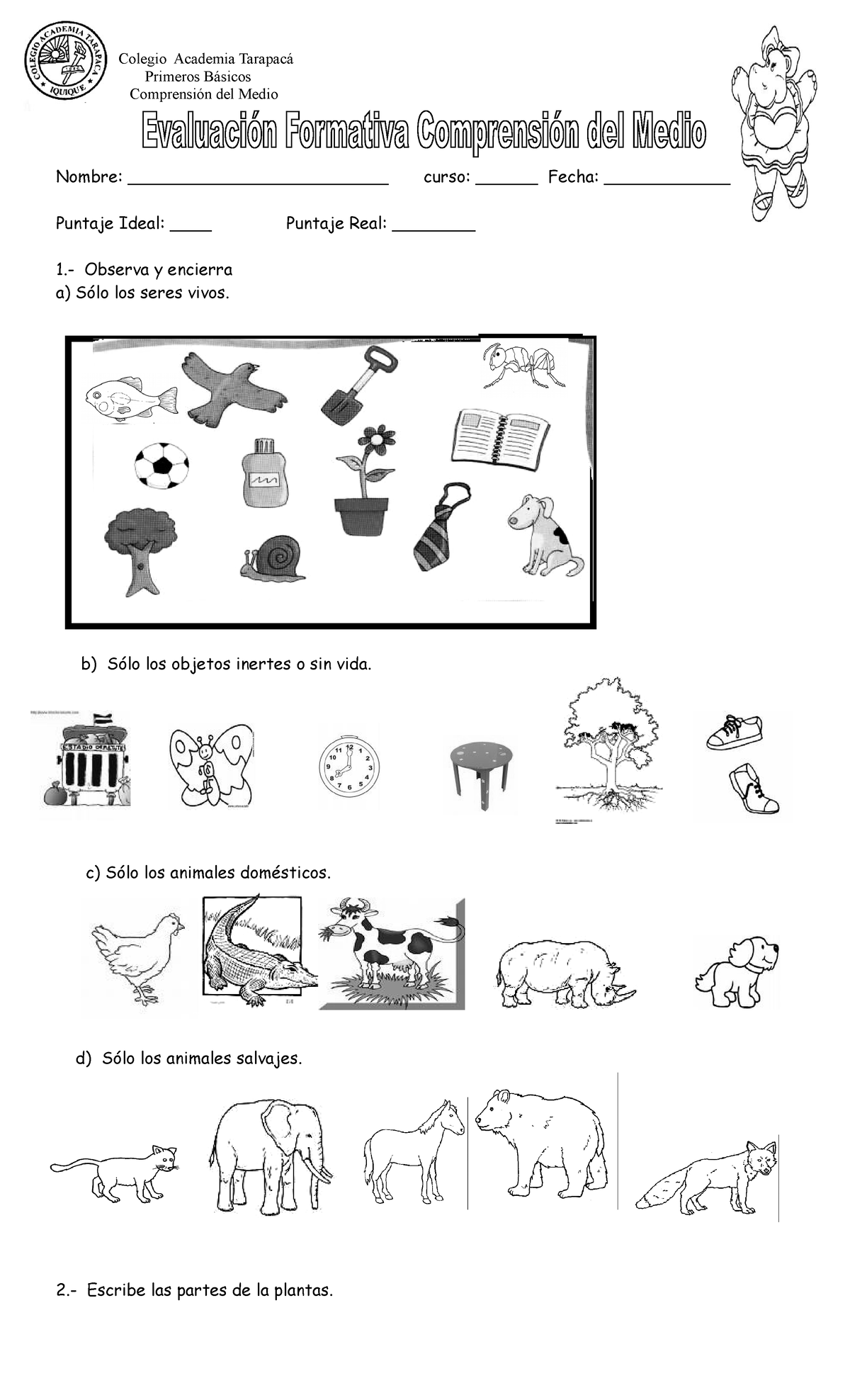 Evaluacion comprension los seres vivos 2 - Colegio Academia Tarapacá ...