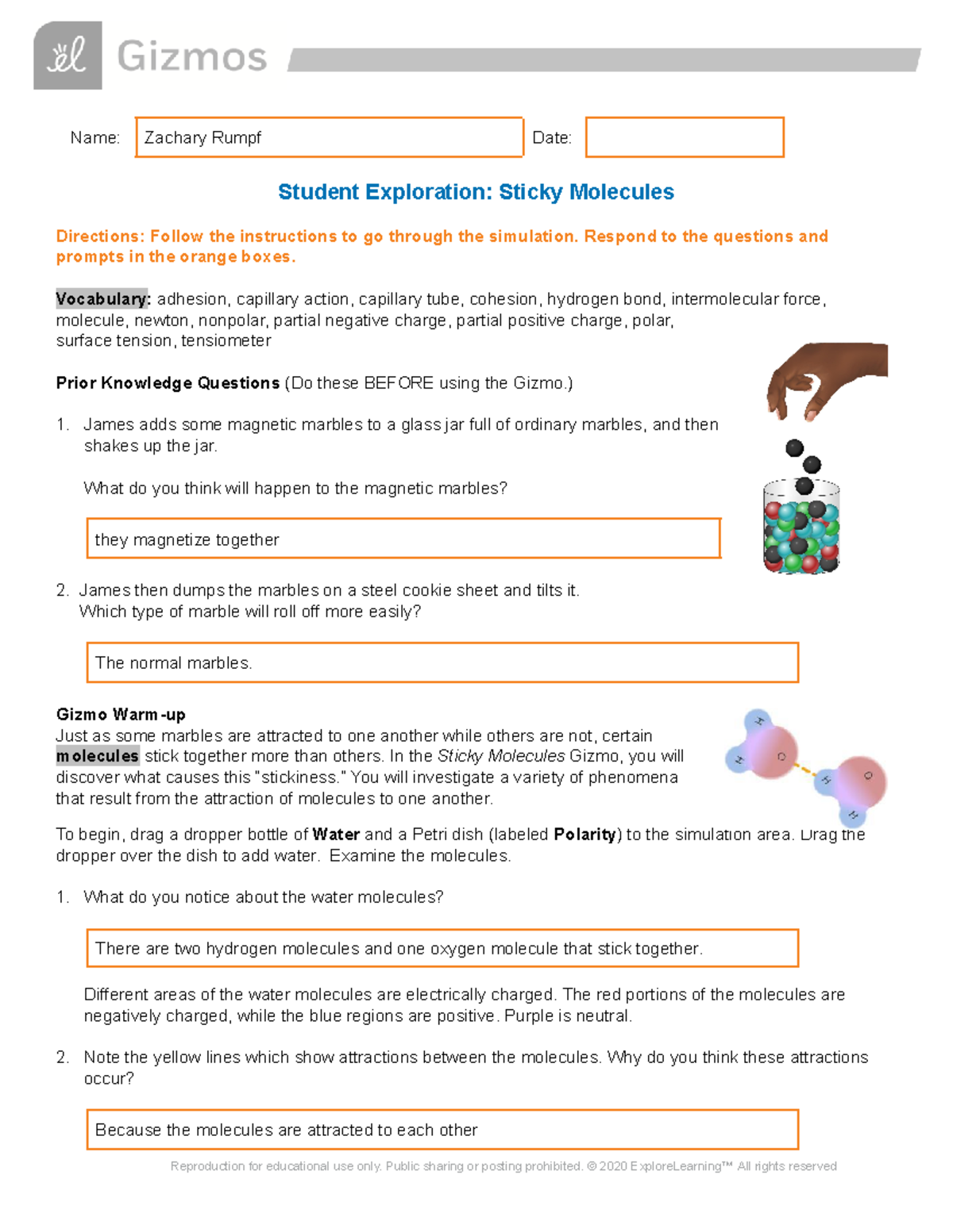 Zachary Rumpf - Copy of Sticky Molecules SE - Name: Zachary Rumpf Date ...