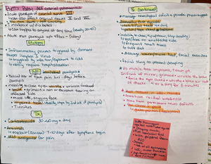 CP Study Guide 3 - Quick facts about Cerebral Palsy - Cerebral Palsy a group of brain disorders ...