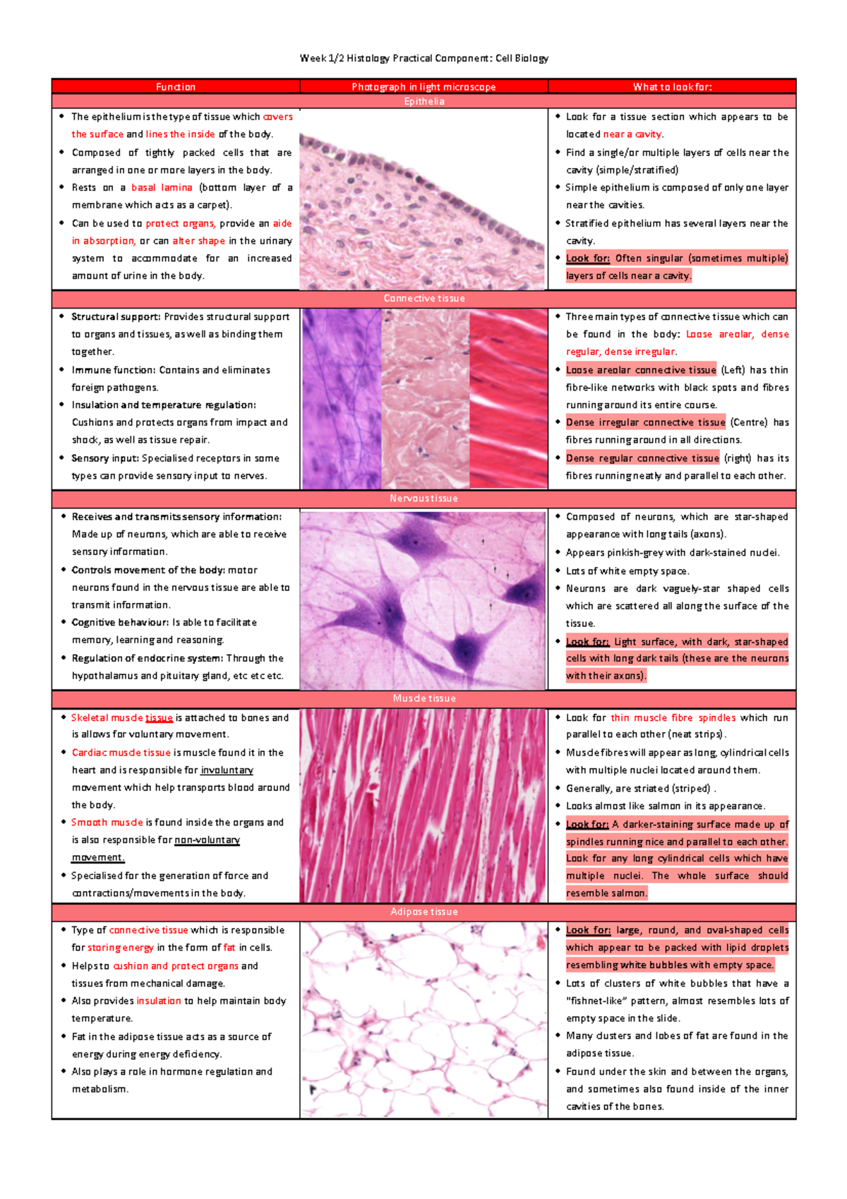 ANAT2008 Lecture Notes (Practical Component) - Week 1/2 Histology ...