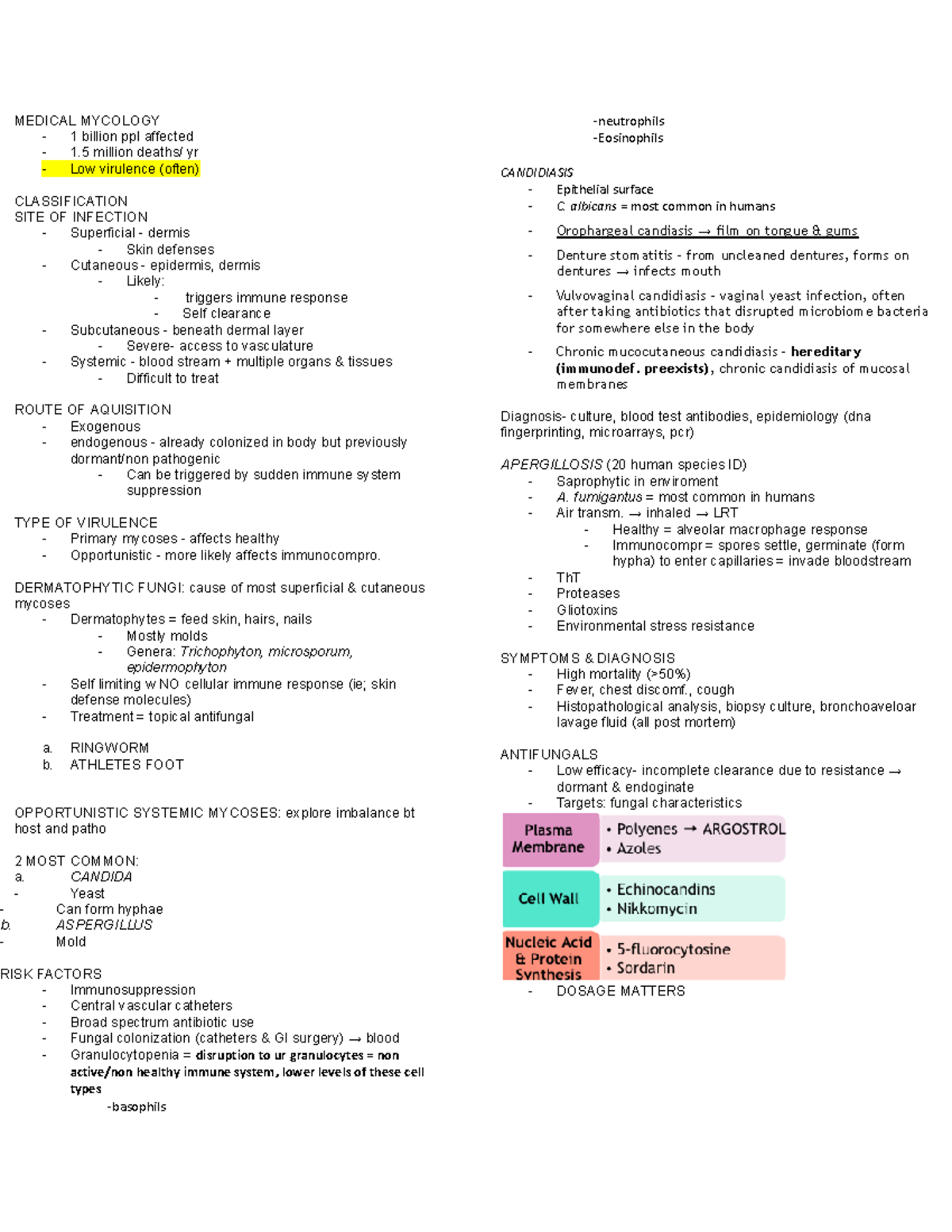 Microimm 2500 - mycology summary notes - MEDICAL MYCOLOGY 1 billion ppl ...