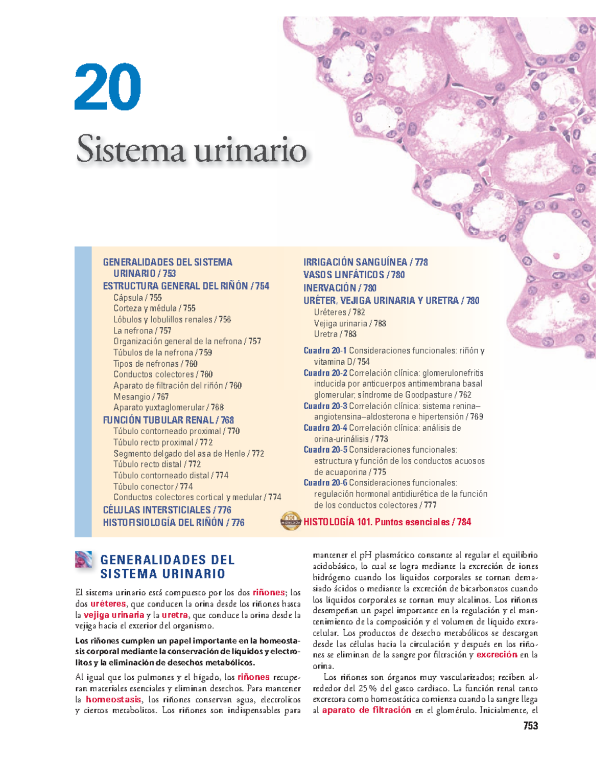 Histolog Ía Texto y Atlas Ross 7 edicion - ####### 753 20 Sistema ...