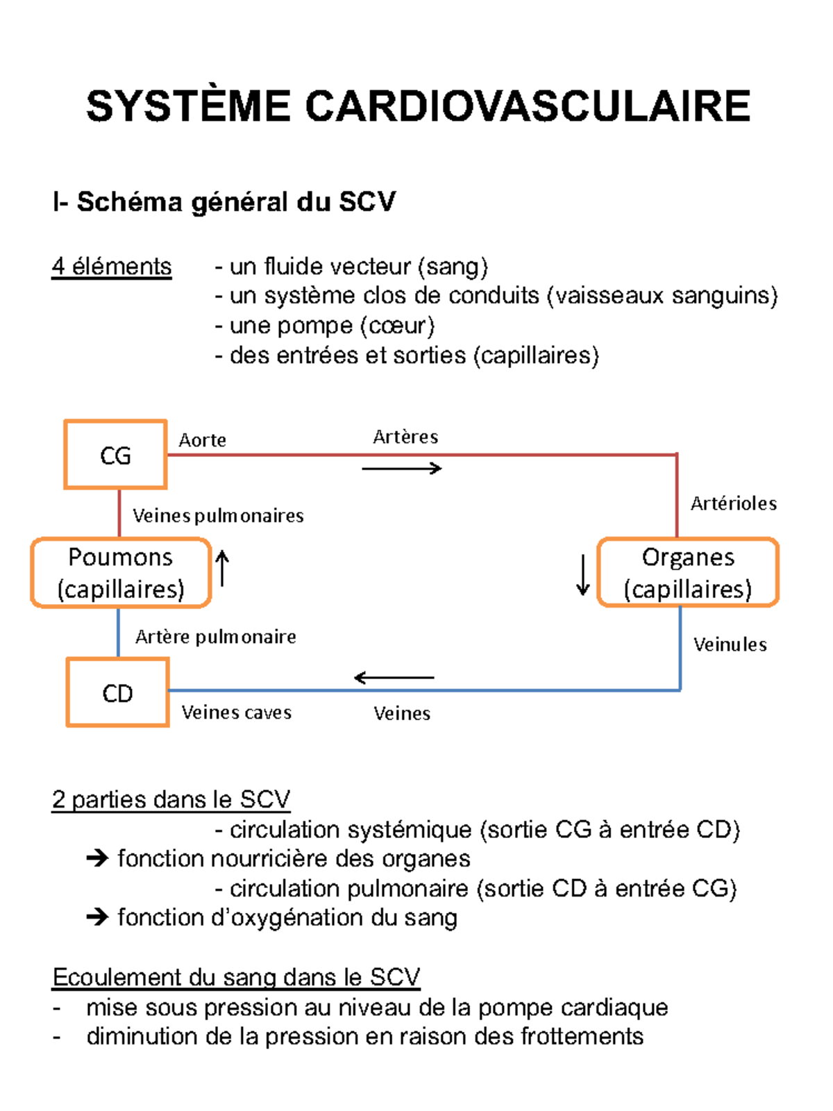 Fiche globale du système cardiovasculaire - SYSTÈME CARDIOVASCULAIRE I ...