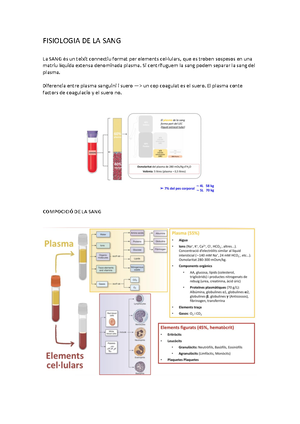 Anatomia y Fisiologia para Enfermeras - Peate - Cerebro 2019 - Encéfalo ...