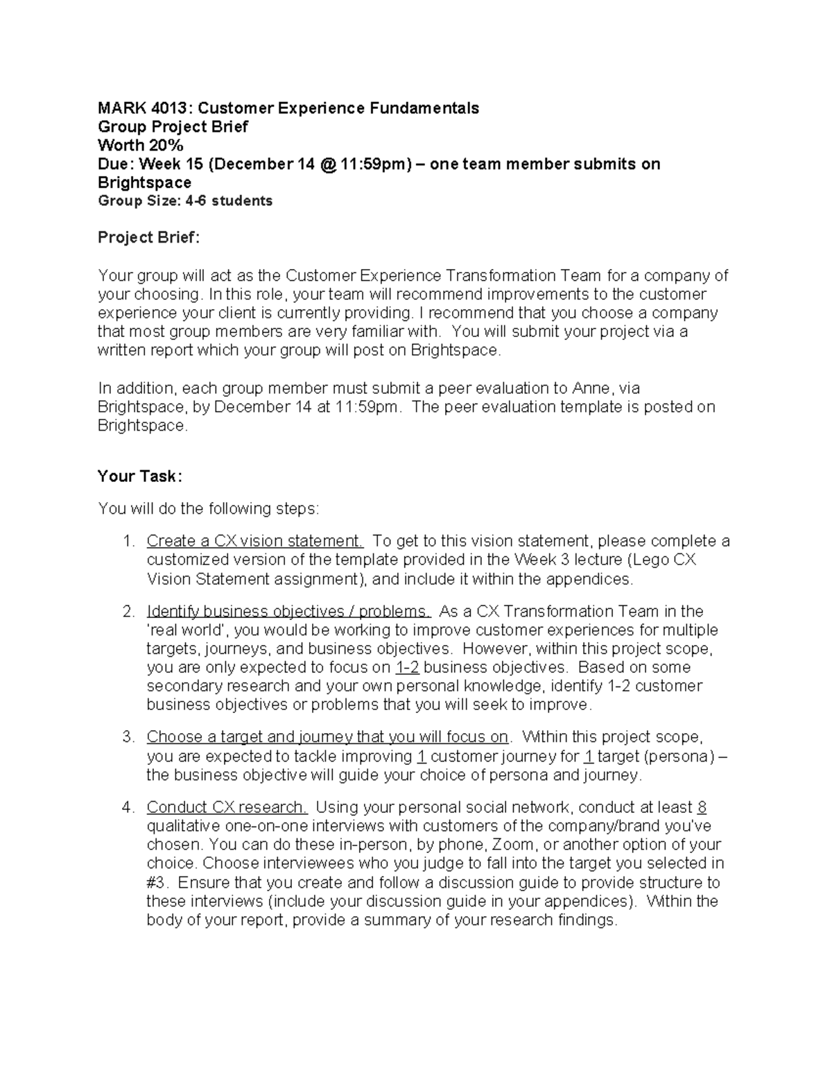 Group Project Brief - ..... - MARK 4013: Customer Experience ...