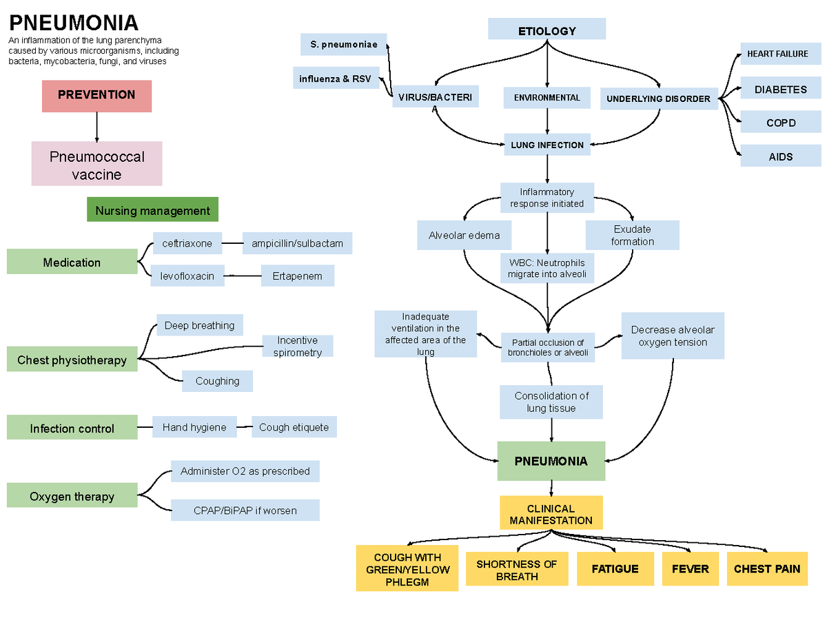 Pneumonia - PNEUMONIA An inflammation of the lung parenchyma caused by ...