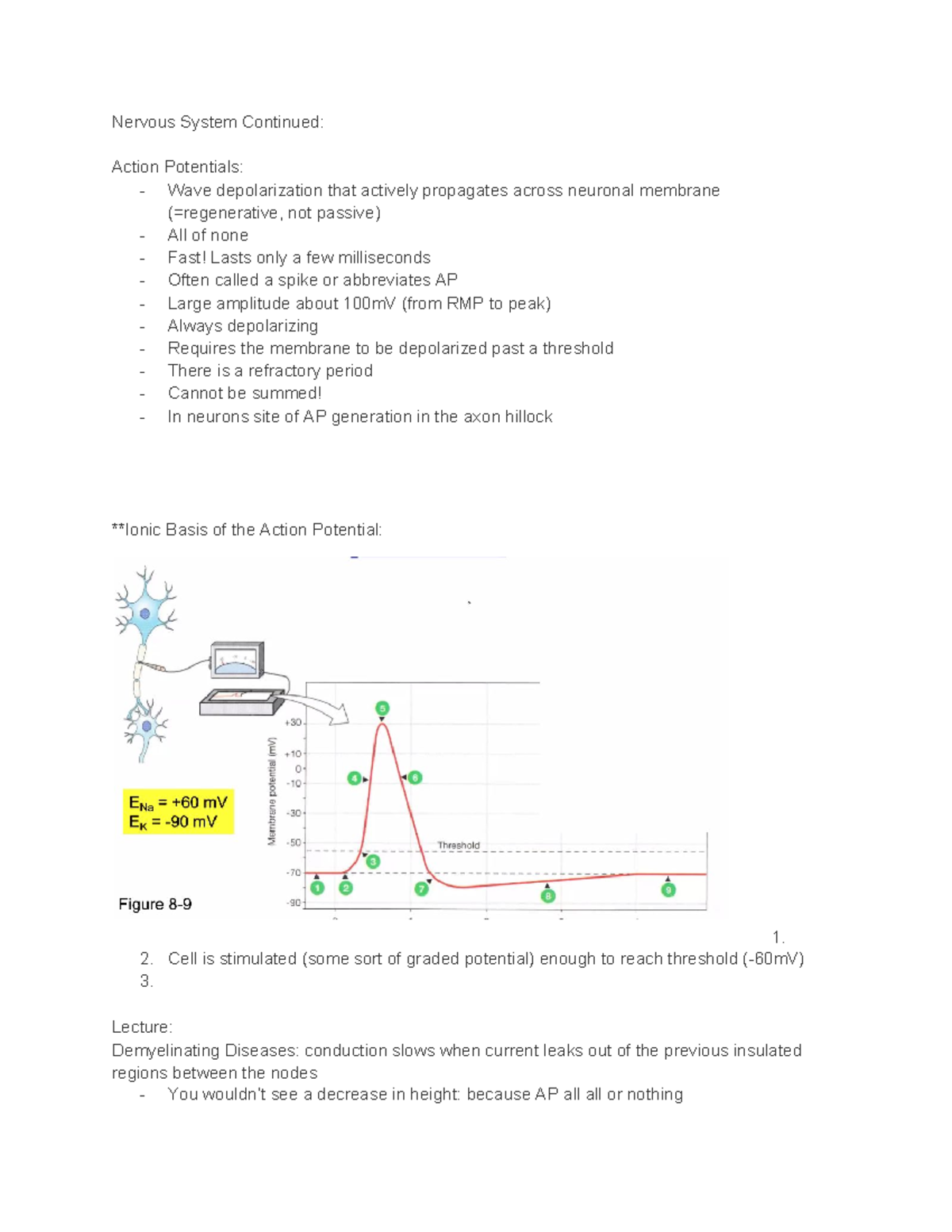 Nervous System and synapses 2410 - Nervous System Continued: Action ...