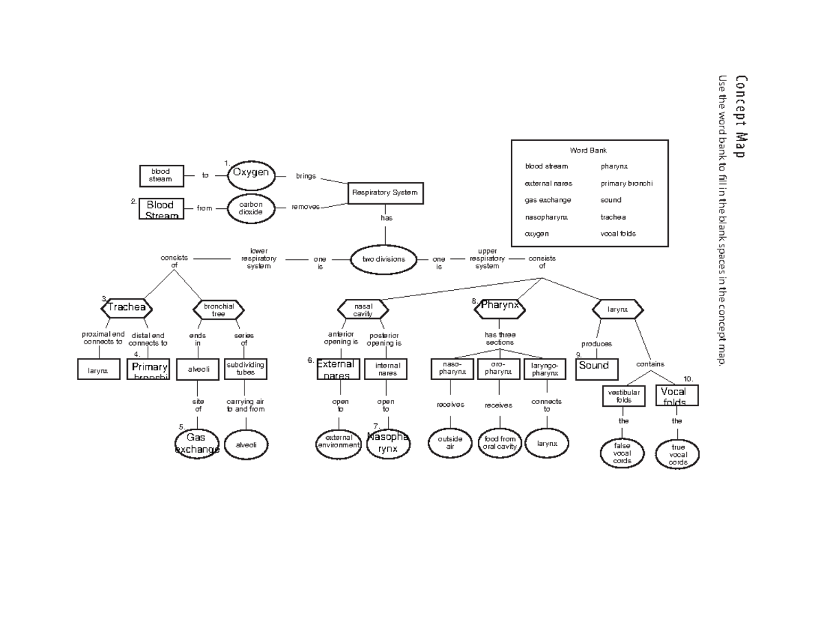 Laboratory 9-Concept Map - Concept m ap Use the word bank to fill in ...