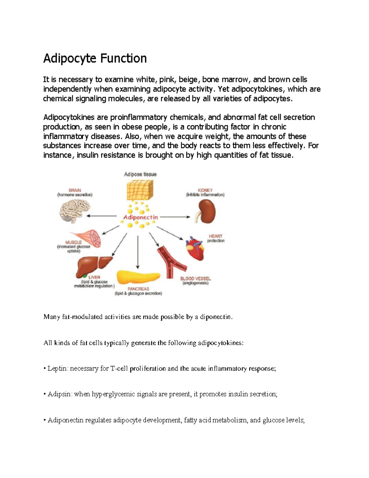 Adipocyte Function - Yet adipocytokines, which are chemical signaling ...