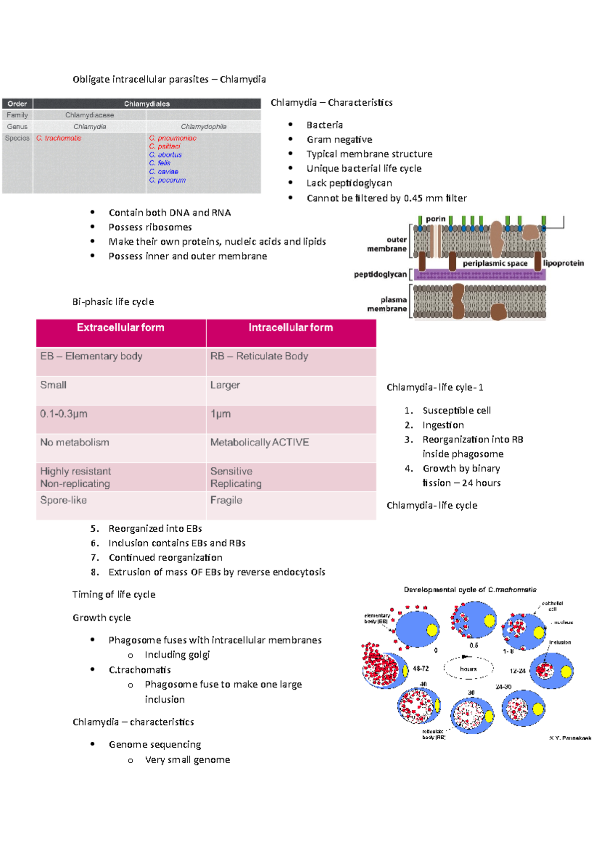 Obligate intracellular parasites - Reorganized into EBs 6. Inclusion ...