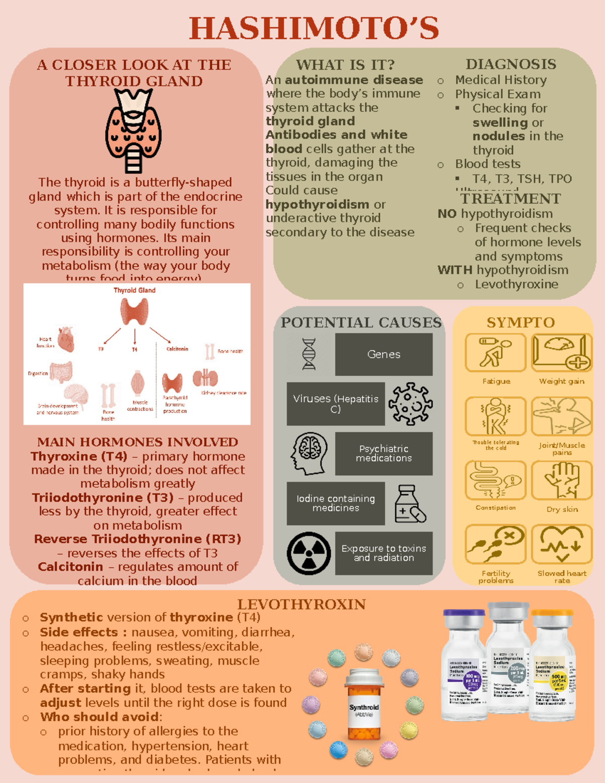 GMS6531 Patient Handout - HASHIMOTO’S A CLOSER LOOK AT THE DISEASE ...