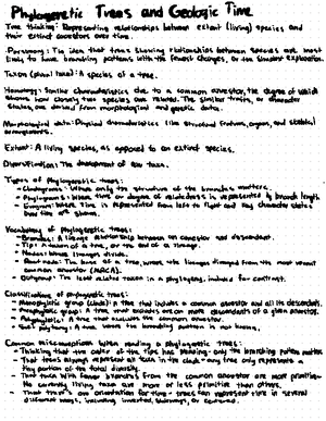 Phylogenetic Trees and Geologic Time Notes - Learning Objectives Define ...