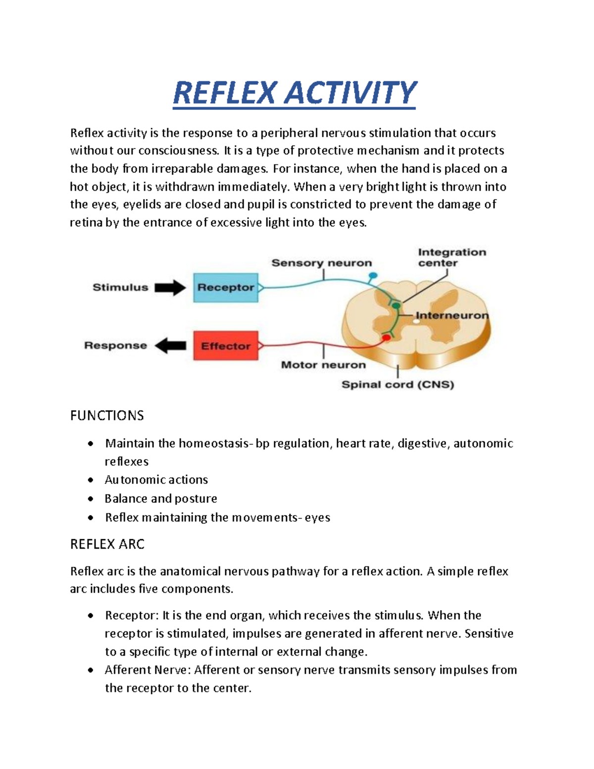 Reflex Activity - REFLEX ACTIVITY Reflex activity is the response to a ...