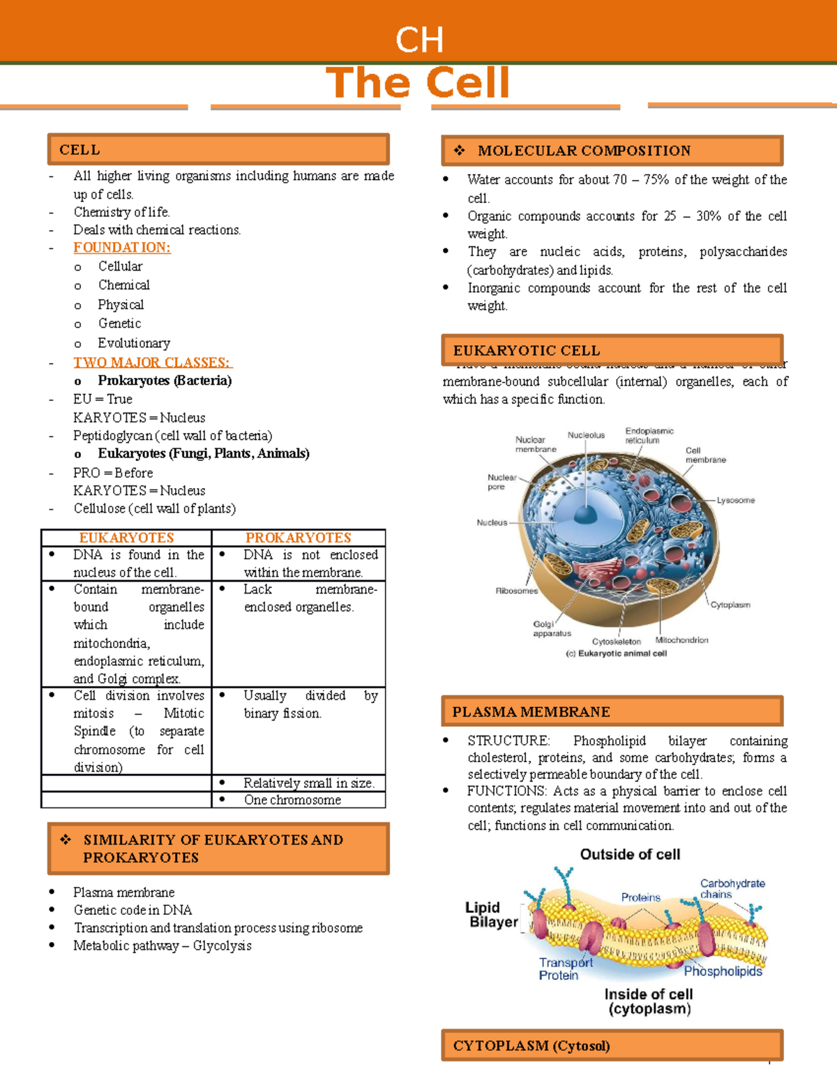 CHEM Module 1 - CHEM - The Cell All higher living organisms including ...