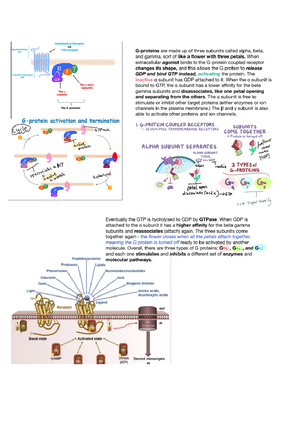 Direct and indirect pathway for movemnt - Fundamentals of Nursing - Studocu