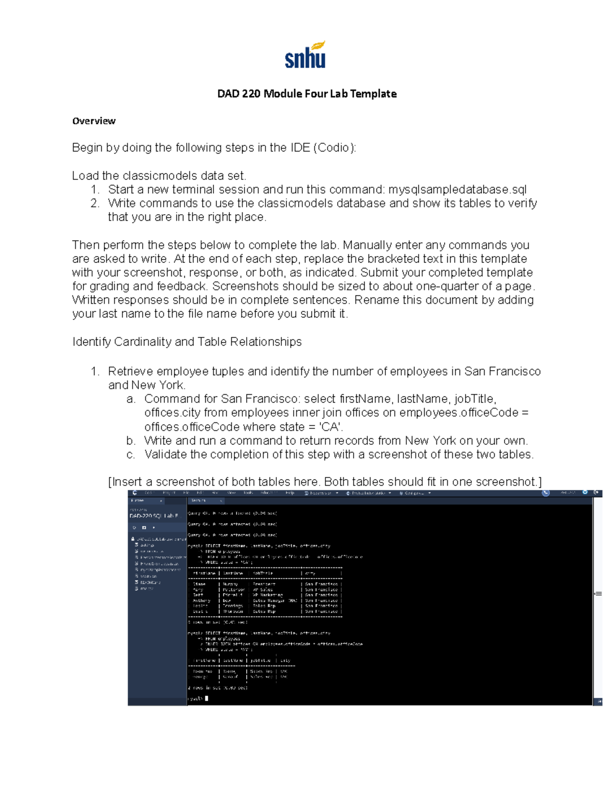 DAD 220 Module Four Lab Template - DAD 220 Module Four Lab Template ...