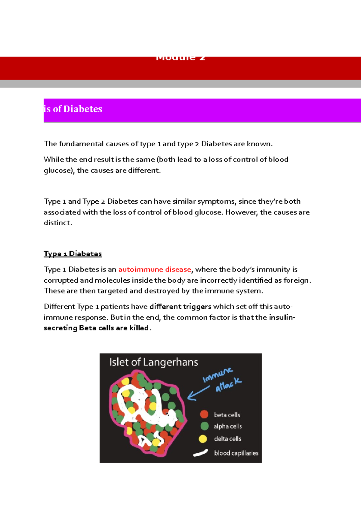 Module 2 - What is Diabetes - The fundamental causes of type 1 and type ...
