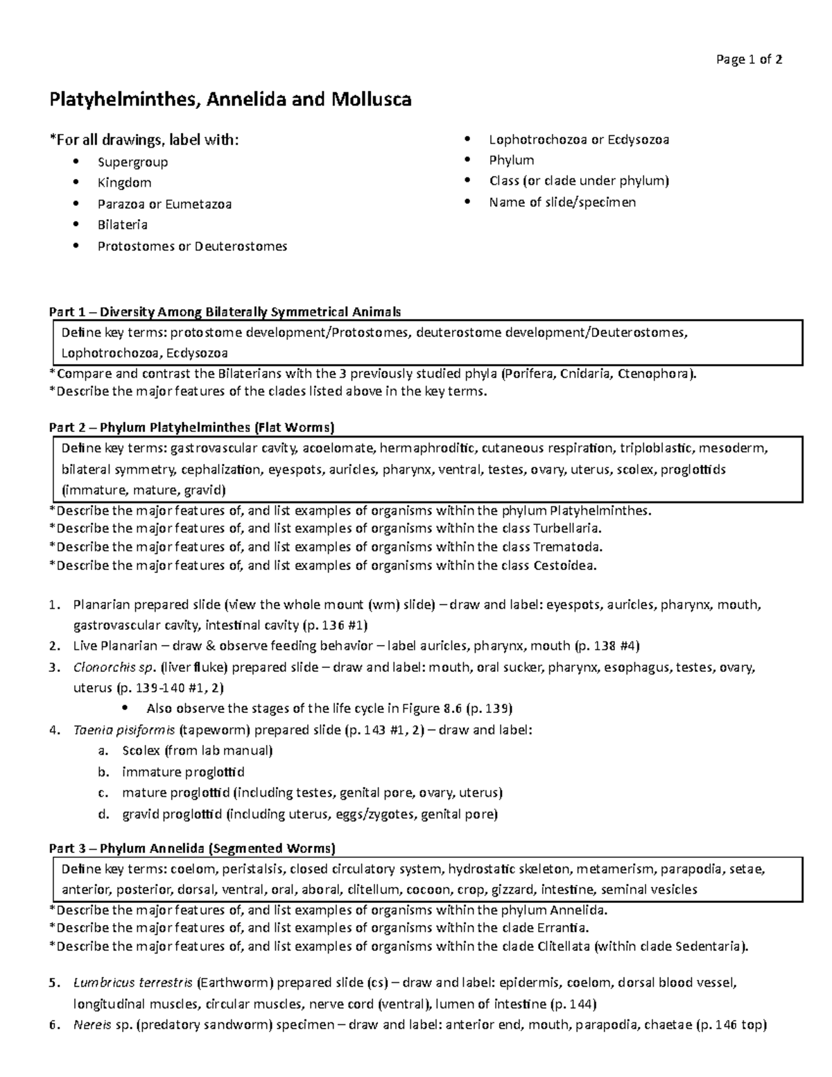 Platyhelminthes, Annelida, Mollusca In Lab Handout - Page 1 of 2 ...