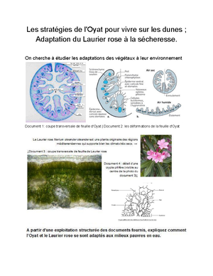 TERM spe SVT- Theme 3- Stress- Bilan 2-cours-22avril 2024 - Classe de ...