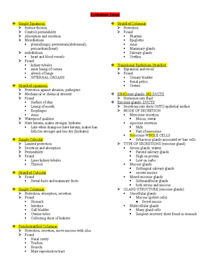 Lab 5 Axial and Appendicular Muscles Worksheet new muscles-1 - Lab 5 ...