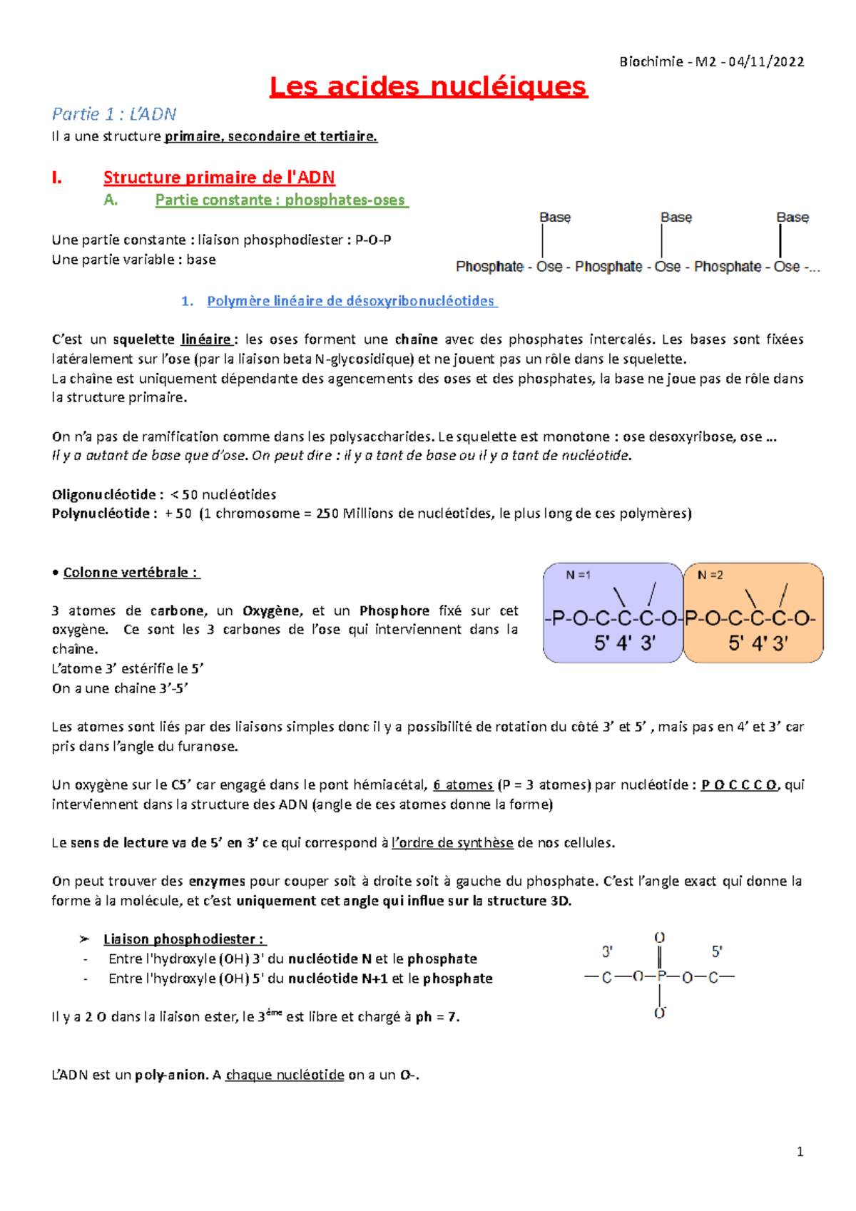 9. Acides nucléiques - Biochimie - M2 - 04/11/ Les acides nucléiques ...