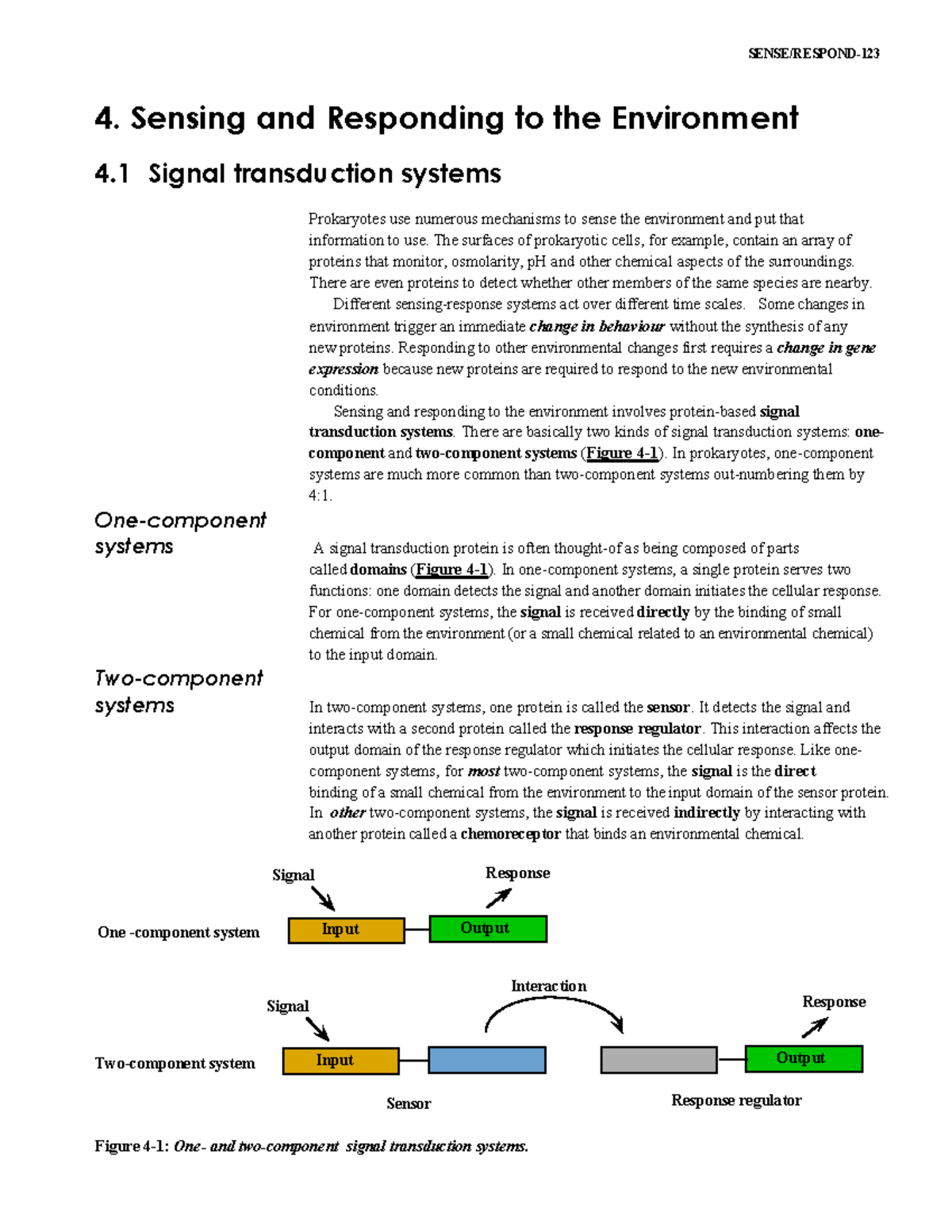 4. Sensing Responding 2019 WT2 - 4. Sensing and Responding to the ...