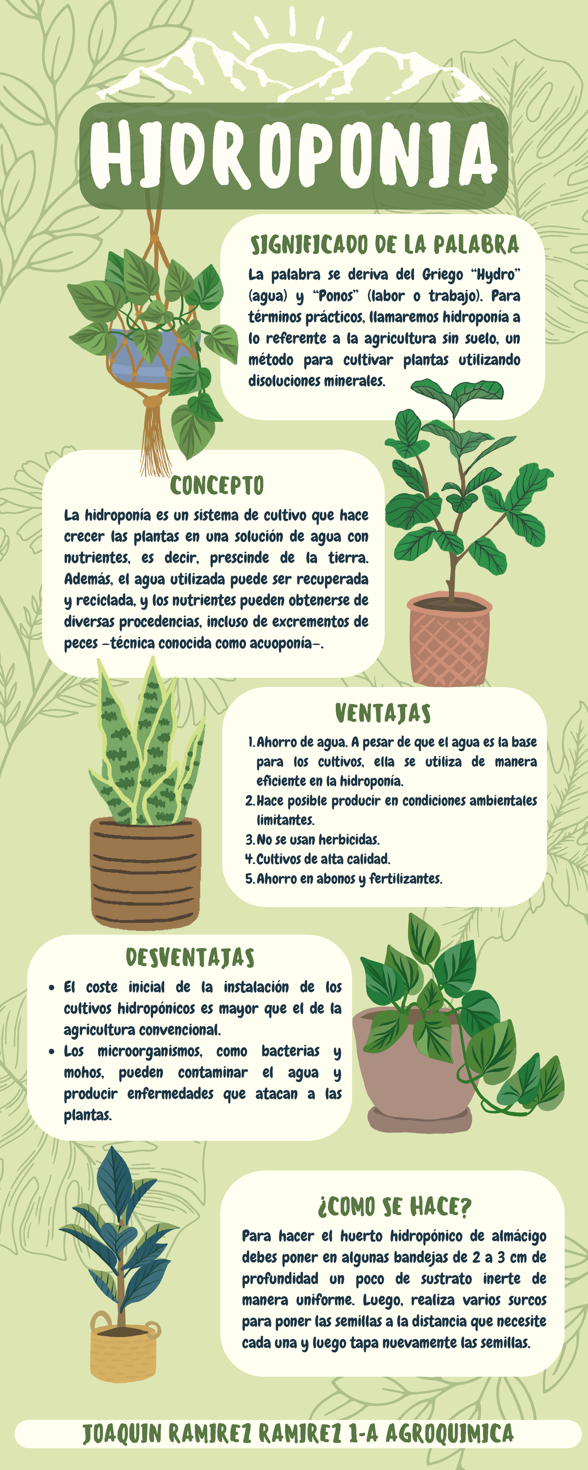 Hidroponia INFO - SIGNIFICADO DE LA PALABRA La palabra se deriva del ...