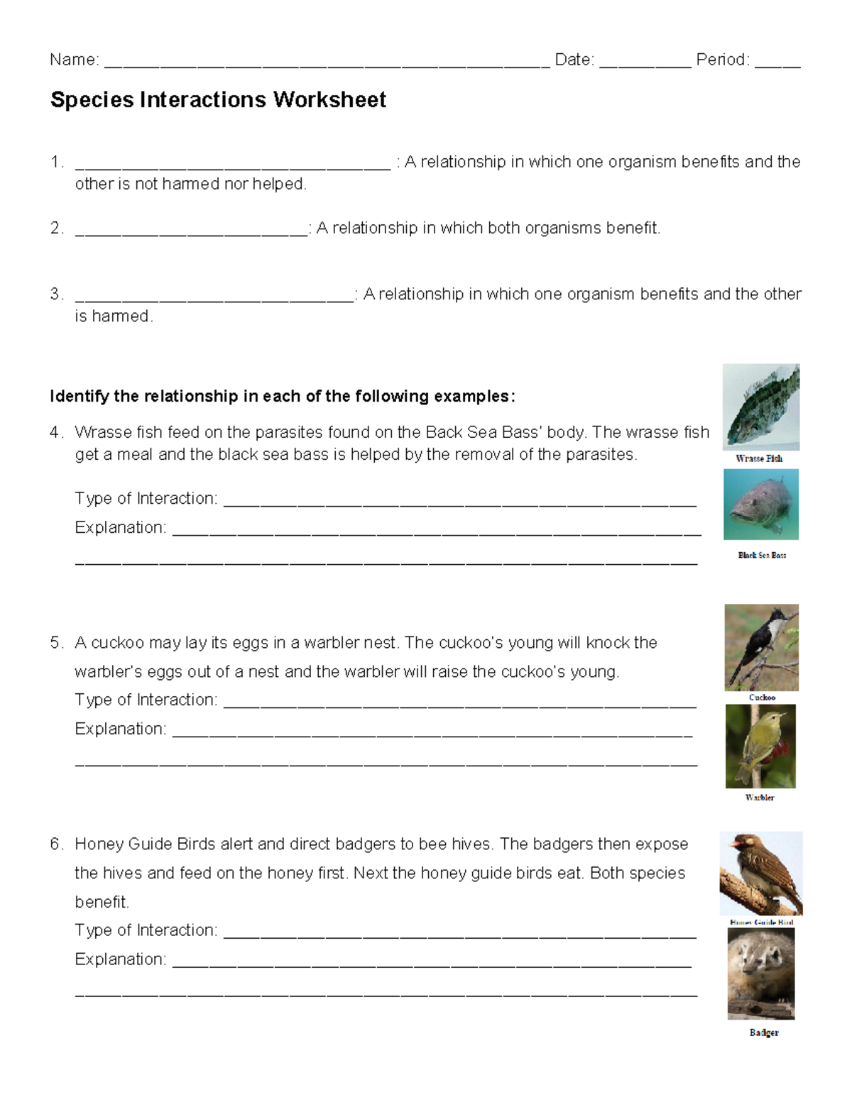 Species-interaction-WS3 - Name ...