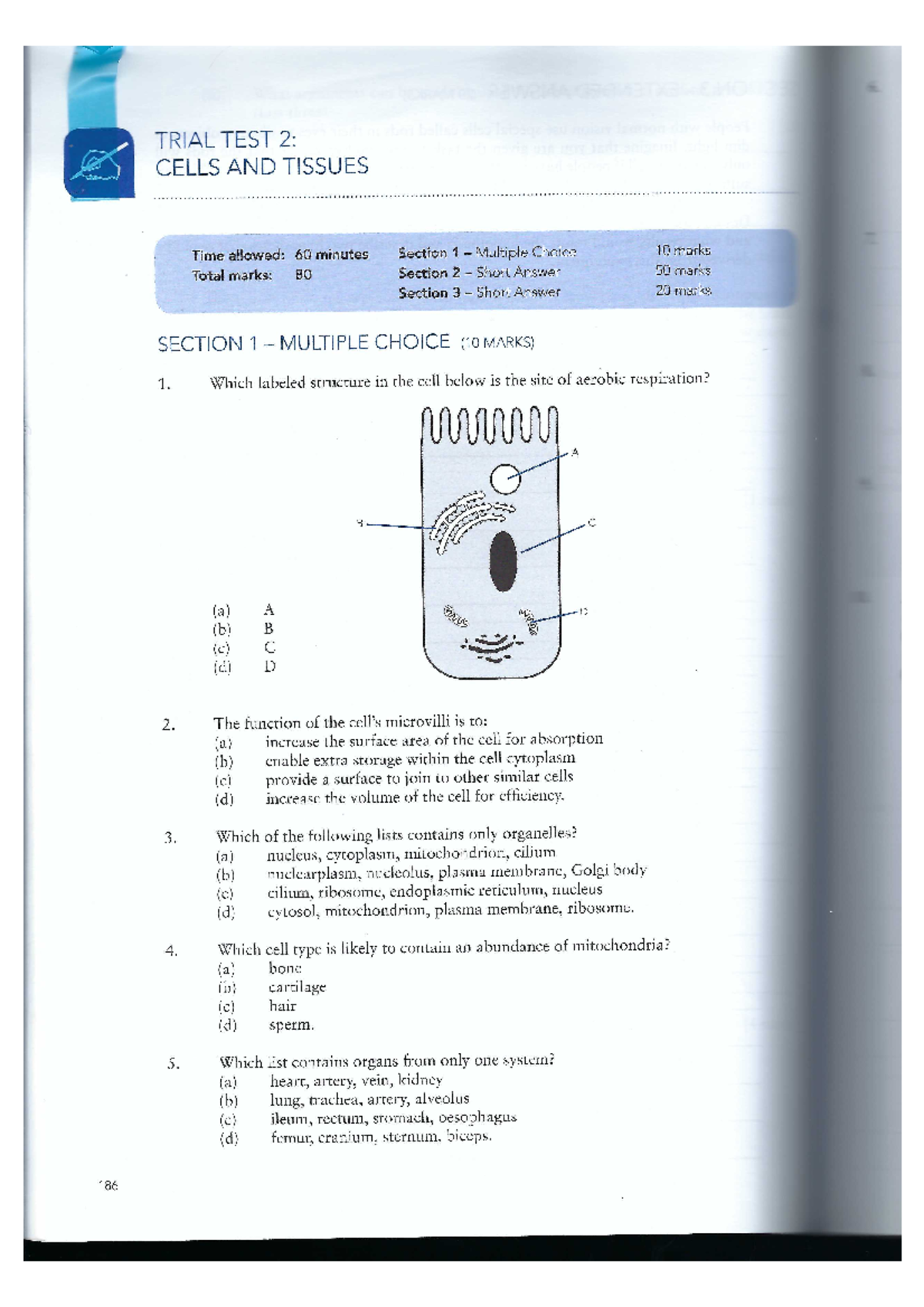 Trial Test 2 Cells and Tissues - TRIAL TEST 2: CELLS AND TISSUES Time ...