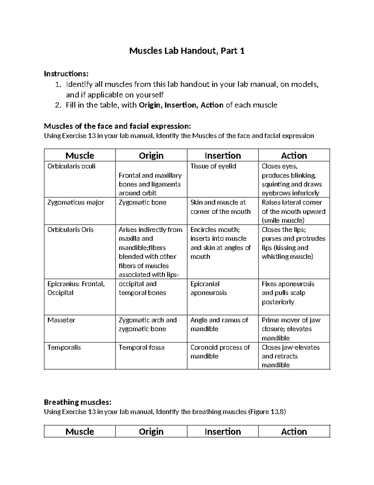 Muscle System 1 Lab Handout DL - Muscles Lab Handout, Part 1 ...