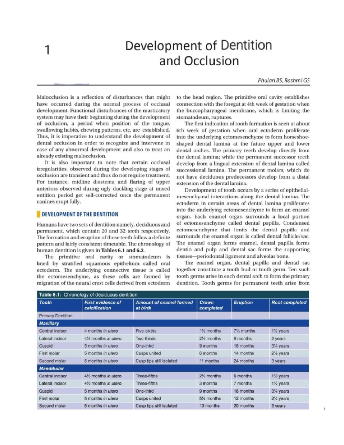 Development of Dentition and Occlusion - The primitive oral cavity ...