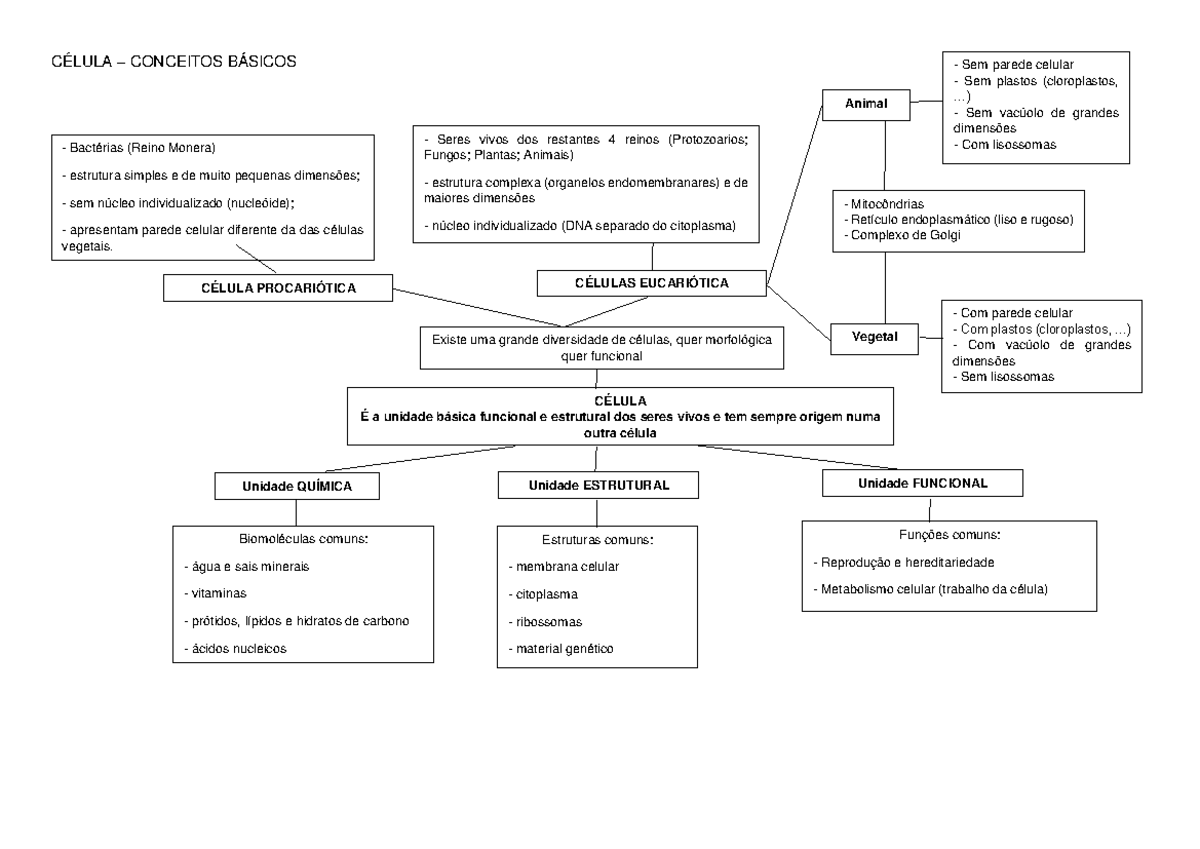 Célula Esquema Resumo - CÉLULA – CONCEITOS BÁSICOS CÉLULA É a unidade ...