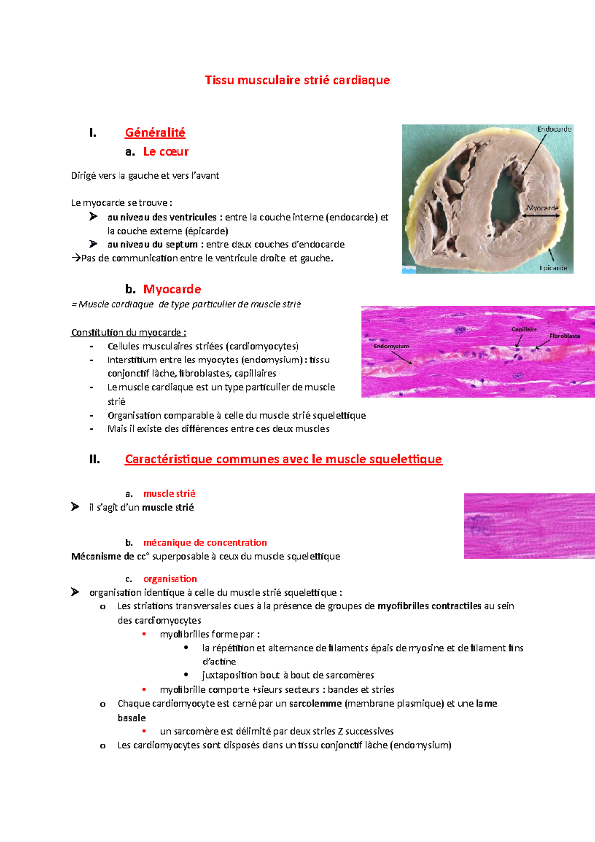 Cours 10 Tissu strié cardiaque - Tissu musculaire strié cardiaque I ...