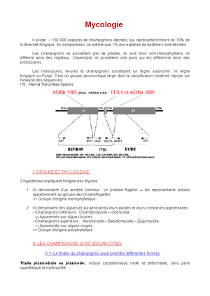 Chap 3 Mobilité et Chimiotactisme - Chap 3 : MobilitÈ et Chimiotactisme ...