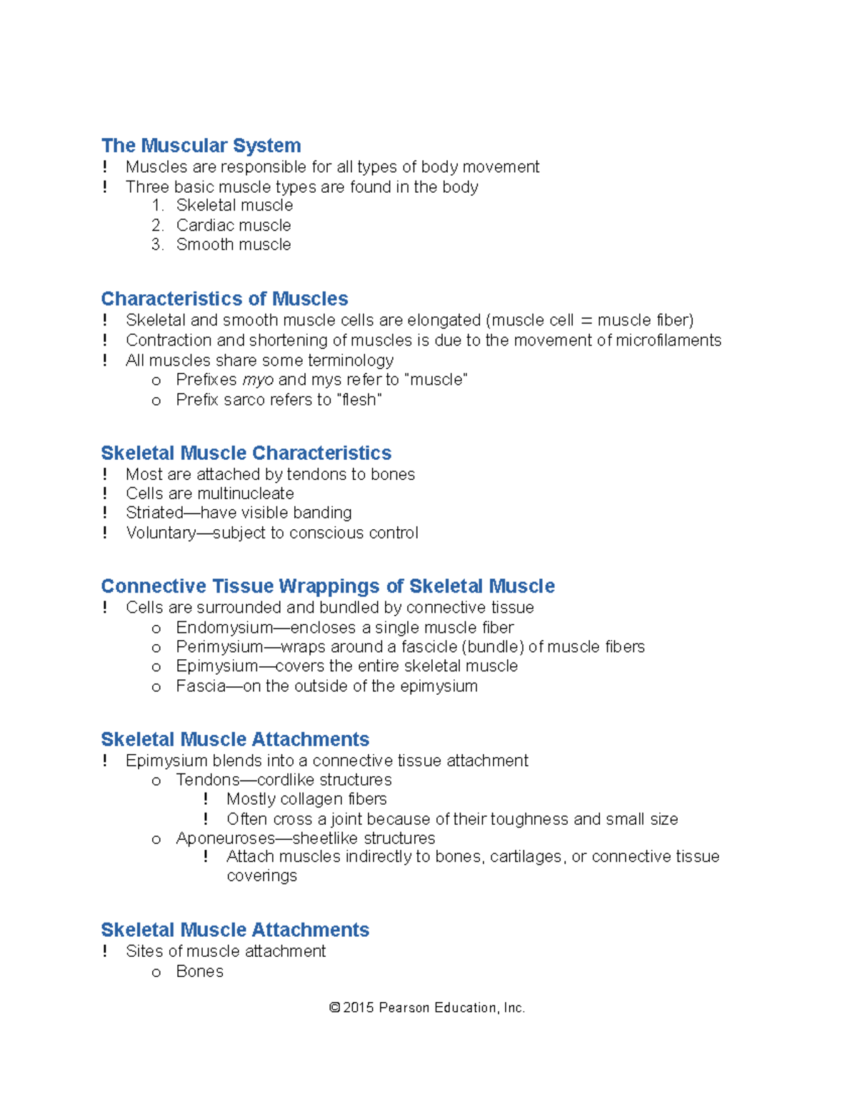 Muscle lecture - Notes - © 2015 Pearson Education, Inc. The Muscular ...