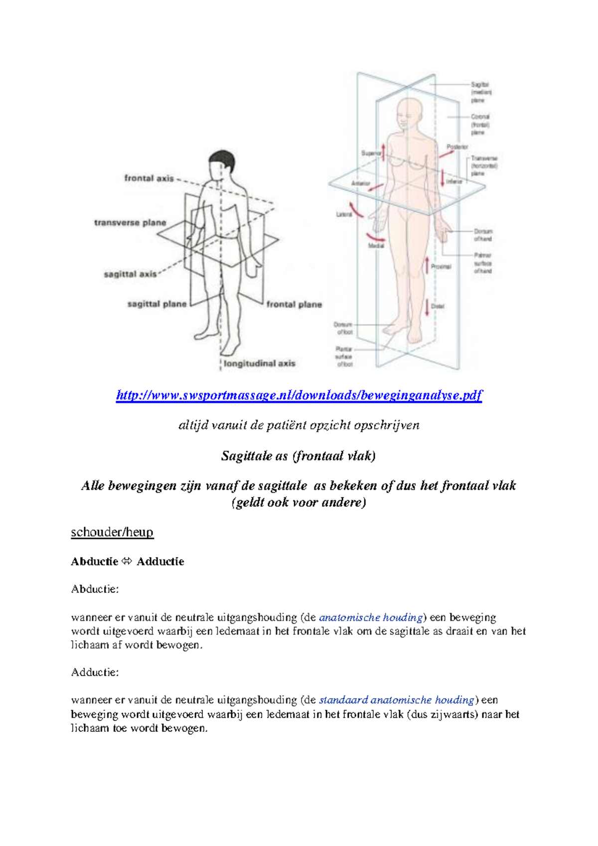 Inleiding Functionele Anatomie: Begrippen - swsportmassage/downloads ...