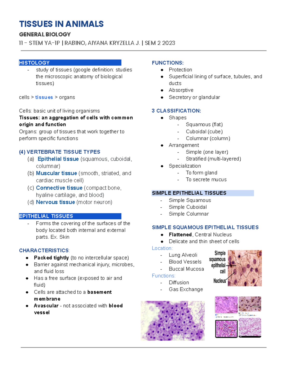 Histology Reviewer - GENERAL BIOLOGY 11 - STEM YA-1P | RABINO, AIYANA KRYZELLA J. | SEM 2 2023 ...
