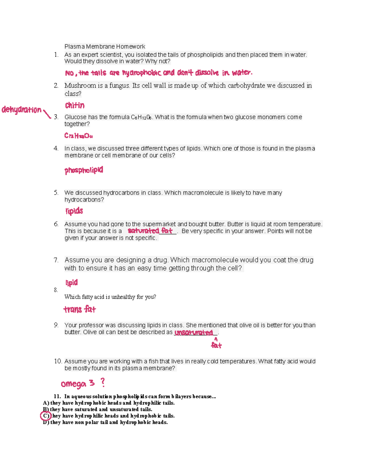 Plasma membrane homework 2 - Plasma Membrane Homework As an expert ...
