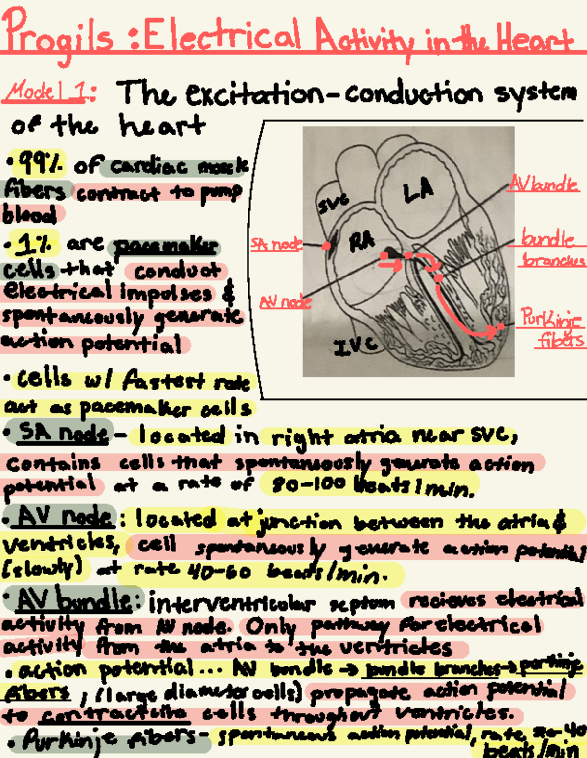 Electrical current of the heart - Pr gits : - ectrical - ctivityinthe ...