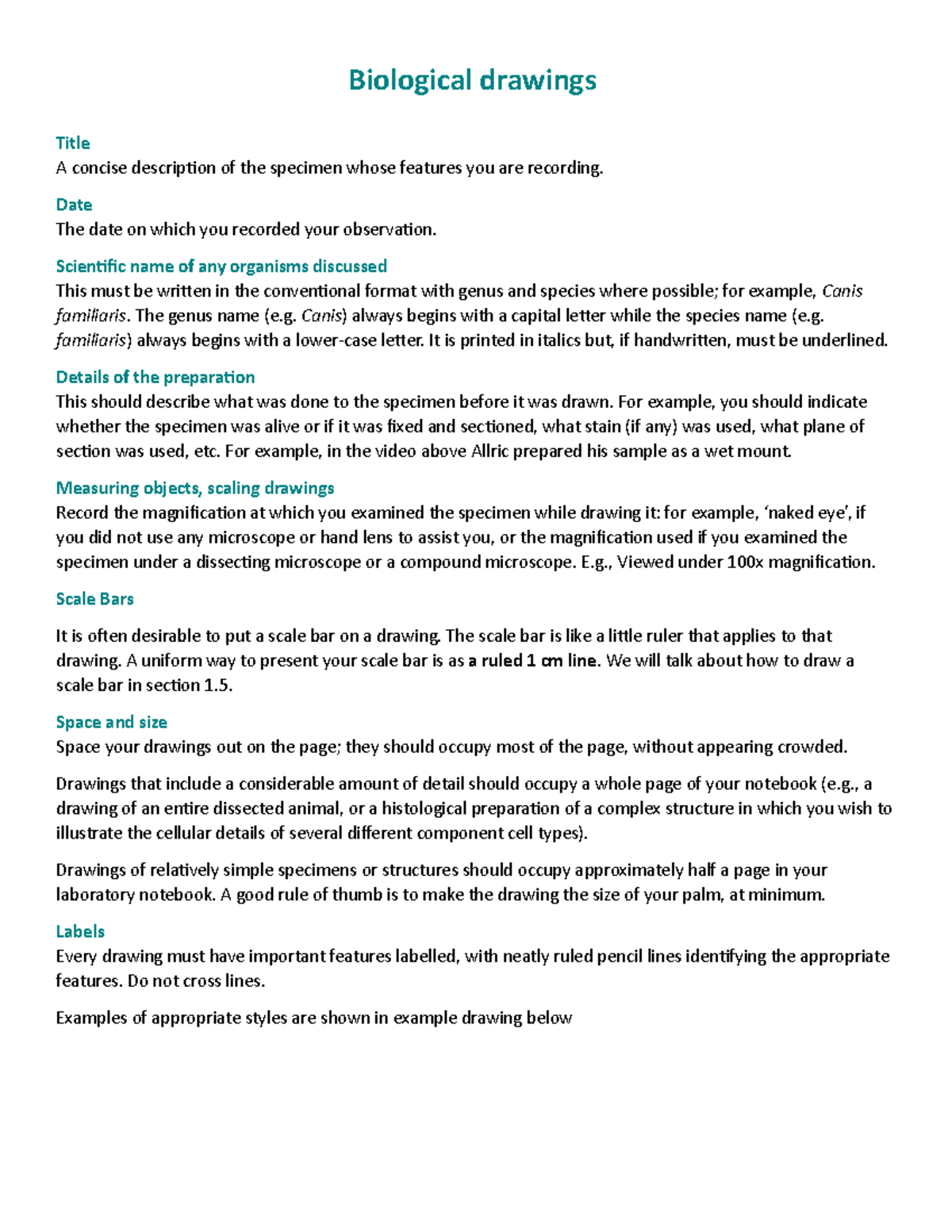 Biological Drawings - Biological drawings Title A concise description ...